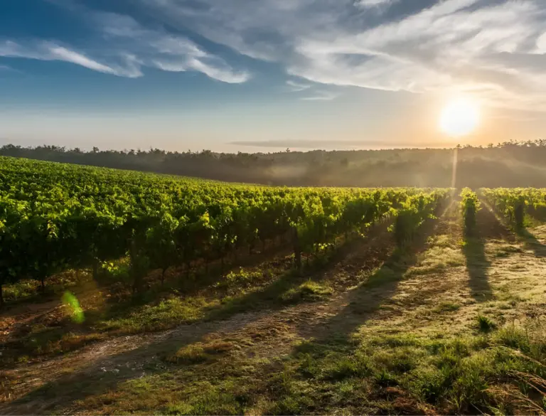 12 Pros and Cons of Living in Oregon | 2024 Update